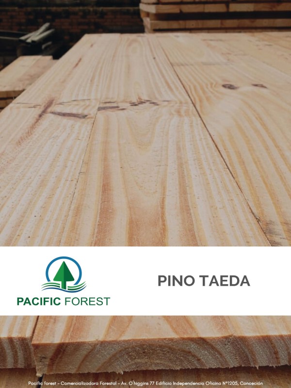 Pacific Forest | Comercializadora Forestal SPA